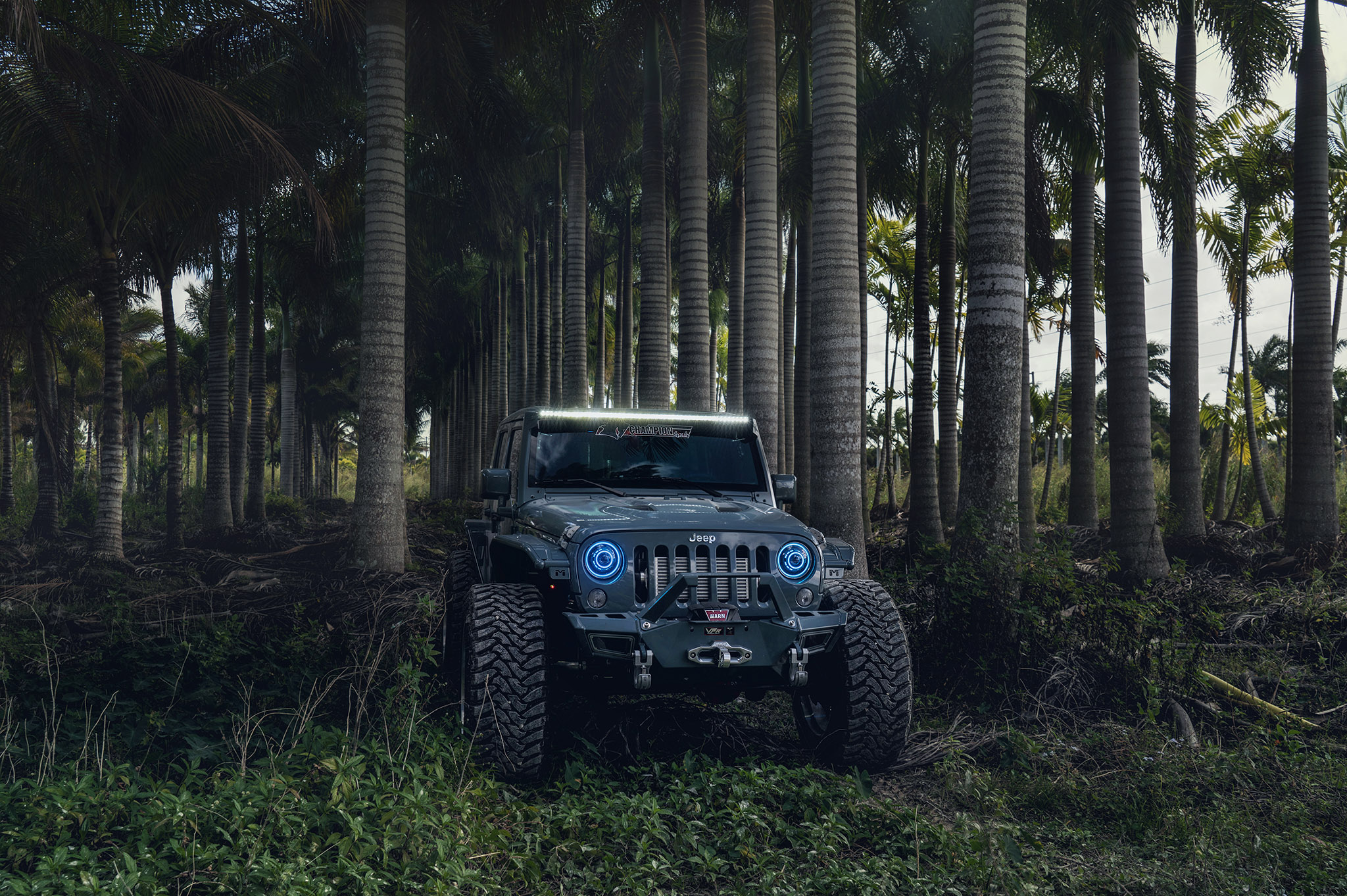 Miami Photoshoots - SPECIALTY FORGED WHEELS